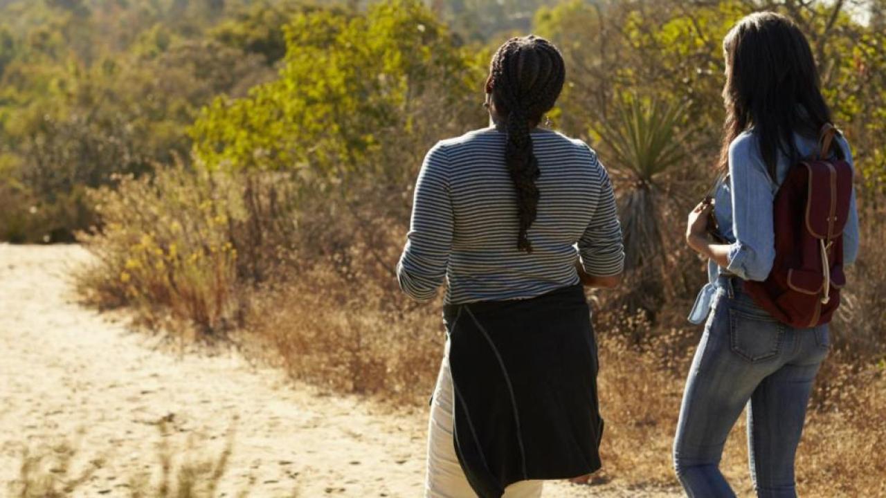 6 Things to Know About MS | Columbia Neurology