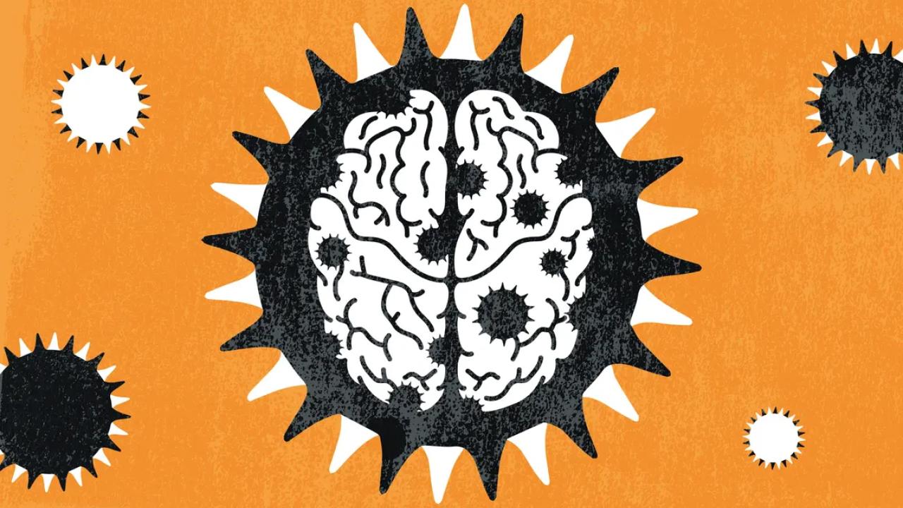 Could Alzheimer’s Be Caused By an Infection? | Columbia Neurology