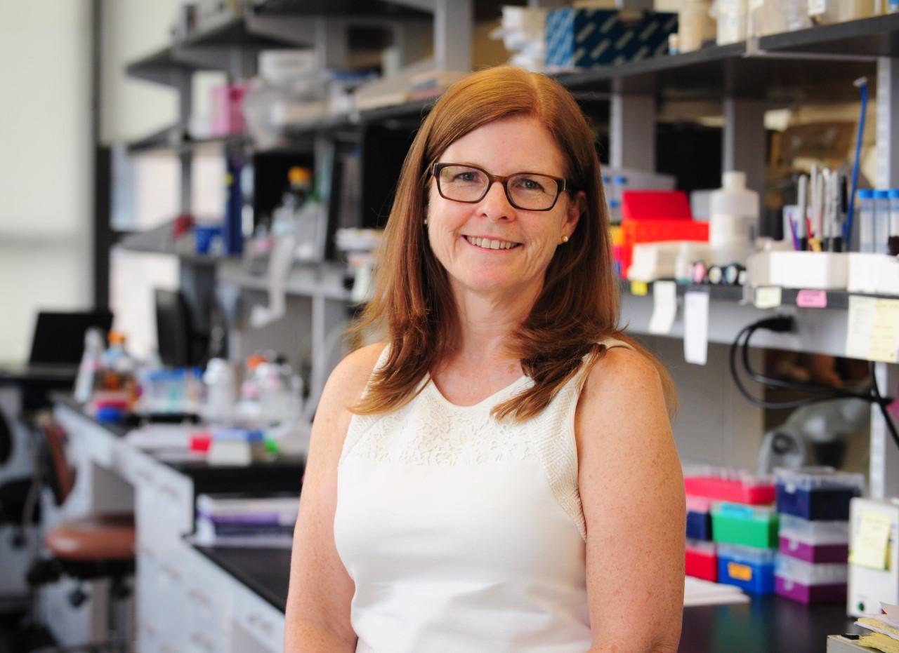 Could Drops Replace Eye Injections for Retina Disease? | Columbia Neurology