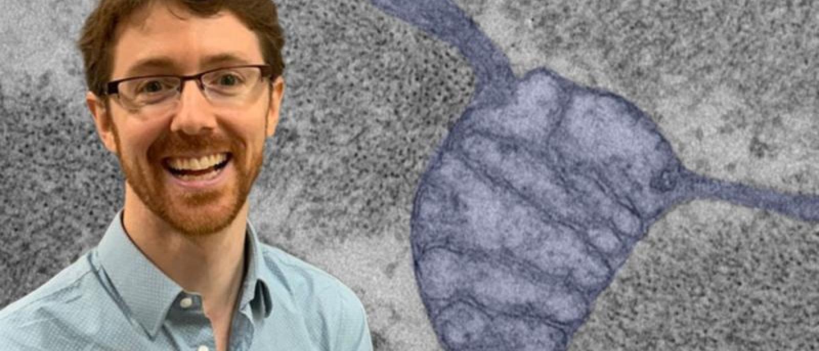 Martin Picard: Exploring the Mind-Mitochondria Connection | Columbia ...