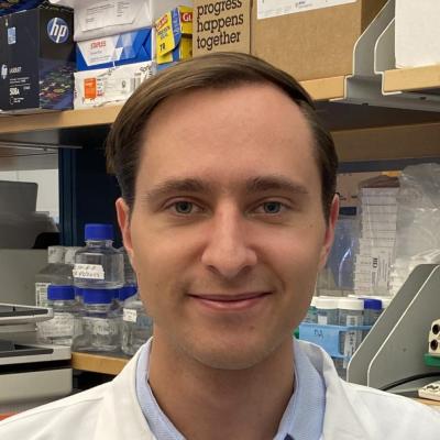 Agalliu Lab | Columbia Neurology