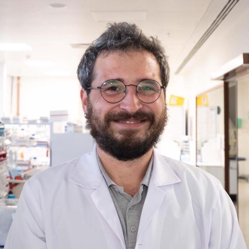 Agalliu Lab | Columbia Neurology